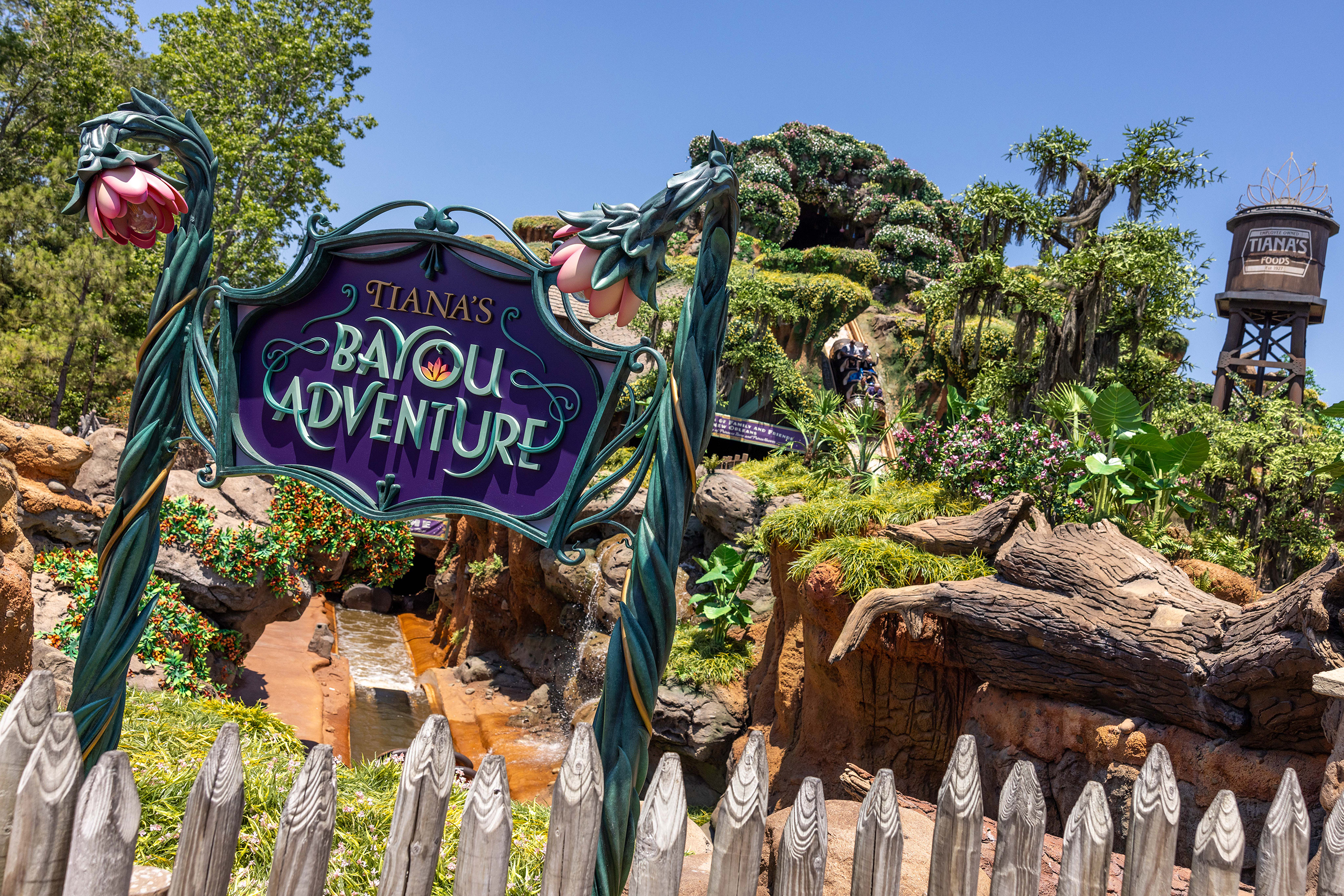 Disney's Tiana's Bayou Adventure: Stepping into a princess's world ...